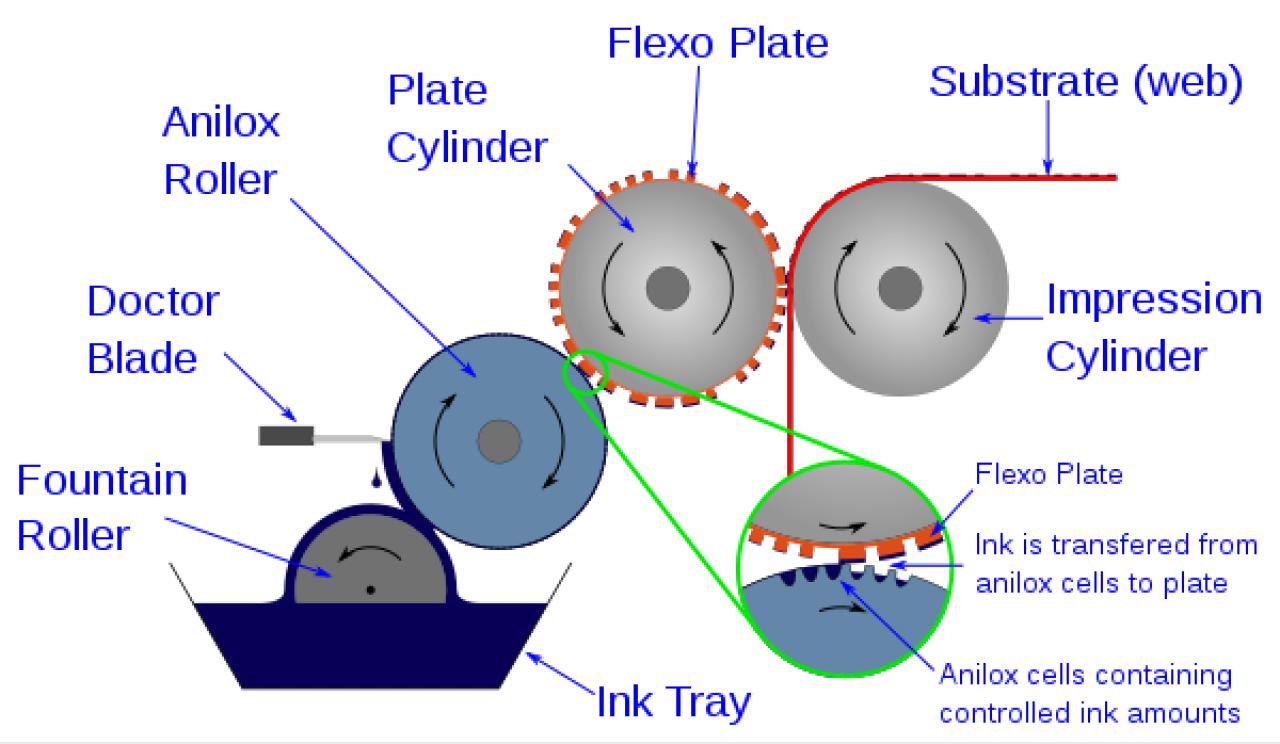 Differences Between Flexo And Offset Petro Polymer Ranginkaman